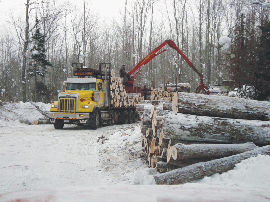 Commercial Forest Program has benefits | News, Sports, Jobs - Daily Press